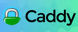 A Guide to Using the Caddy Server on Linux - Boolean World