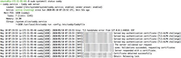 A Guide To Using The Caddy Server On Linux Boolean World