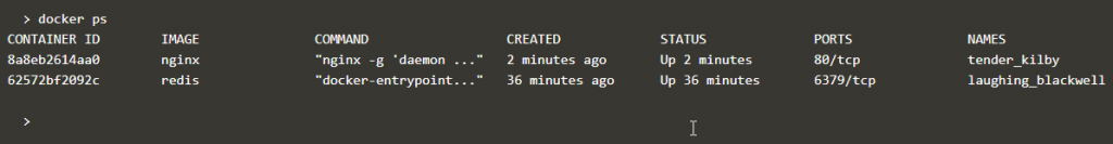 Getting Started with Docker - Part 2 - Boolean World