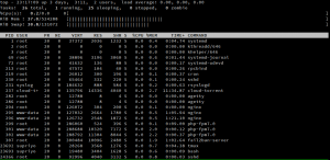A Guide to the Linux "Top" Command - Boolean World