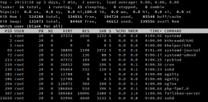 A Guide to the Linux "Top" Command - Boolean World