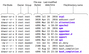 An Introduction to Linux File Permissions - Boolean World