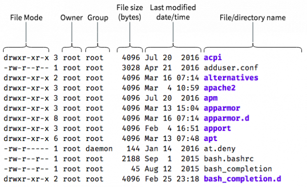 An Introduction To Linux File Permissions Boolean World