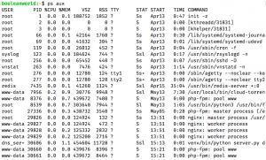 How to Kill a Process in Linux - Boolean World